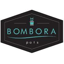 Bombora Pots – All Green