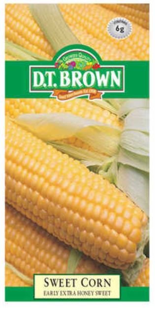 D.T. BROWN SWEET CORN EARLY EXTRA HONEY SWEET SEEDS – All Green